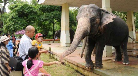 Yangon Where to Visit, Place to Go & Travel Experience