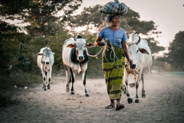 Myanmar Travel Advisory & Safety Updated 2025 - 2026 - Myanmar Tours